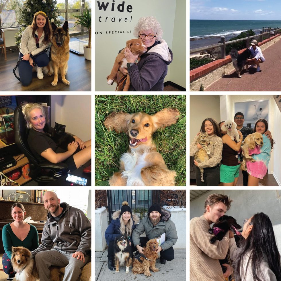 Veterinarian Partnership - Worldwide Animal Travel