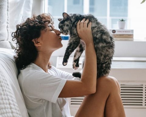 Worldwide Animal Travel - Canada's Pet Relocation Specialist