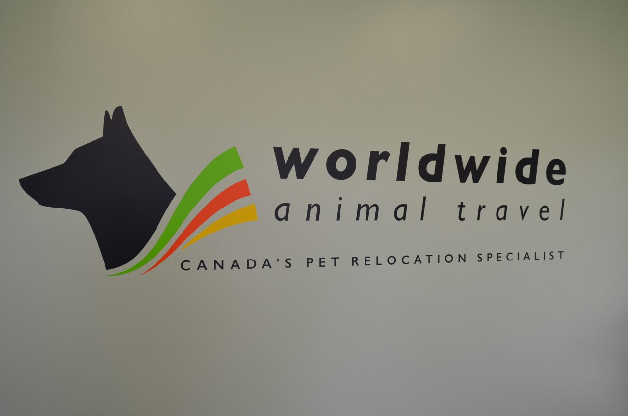 About Animal Travel | Pet Relocation Experts Canada