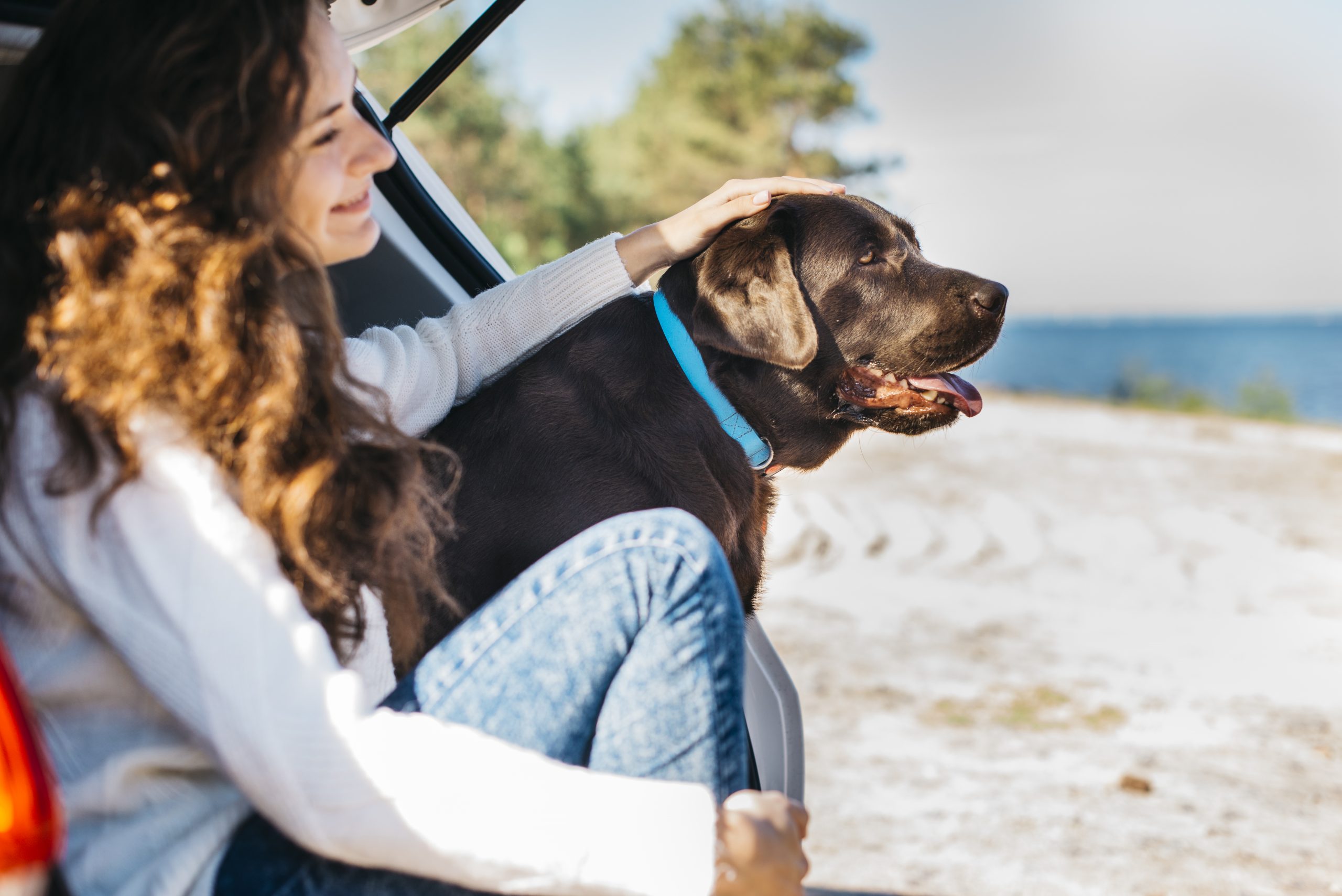 Travelling with Pets in Canada: Rules, Pet-Friendly Hotels, and ...