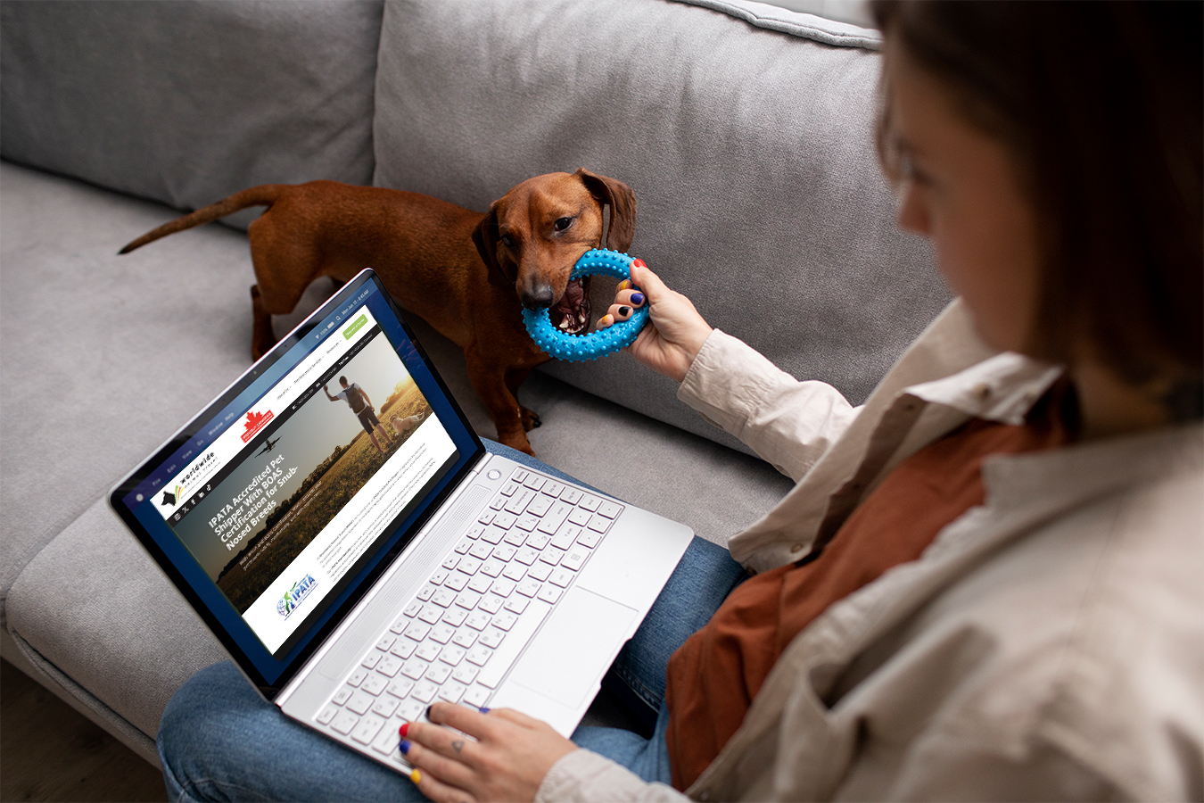 Why Choosing an IPATA Agent Matters for Your Pet’s Next Move ...